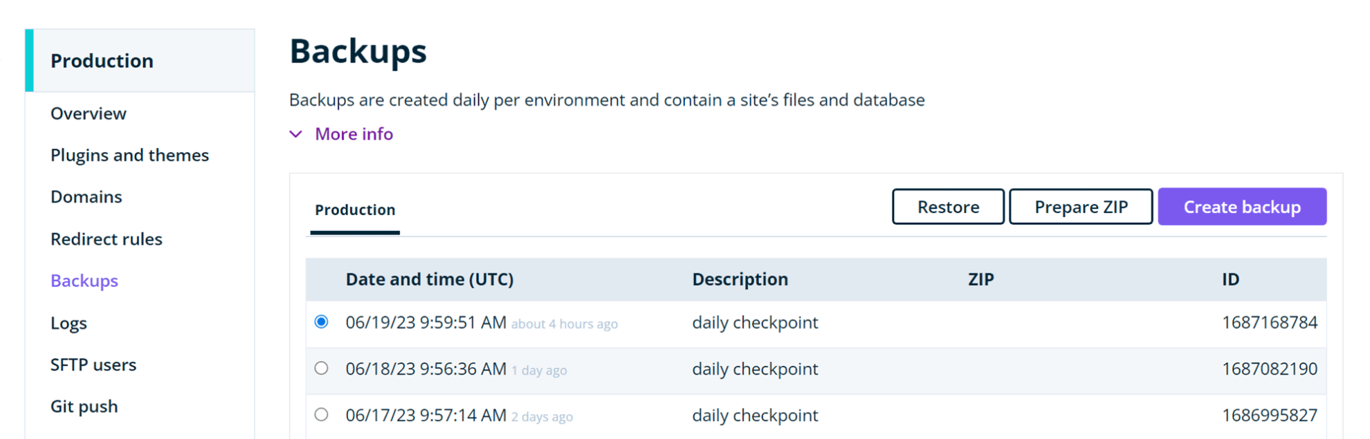 WP Engine Review - Just How Good Is It? Speeds Tested! (2024)